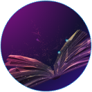 Codebashing Learning Panel